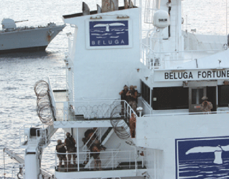 Citadel use pays off for Beluga Fortune crew :: Lloyd's List