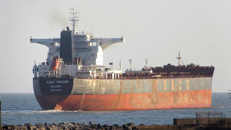 Danaos continues deep dive into dry bulk with move for capesize brace :: Lloyd's List