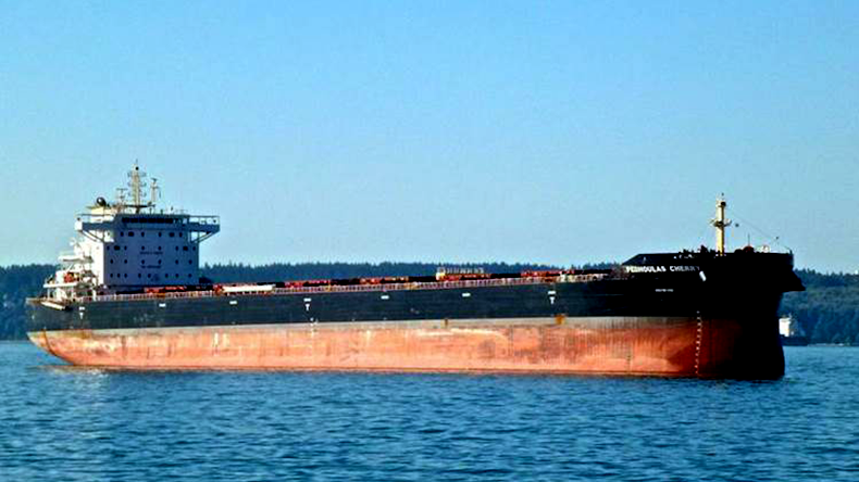 Pyxis Tankers makes another bulker move with kamsarmax acquisition from ...