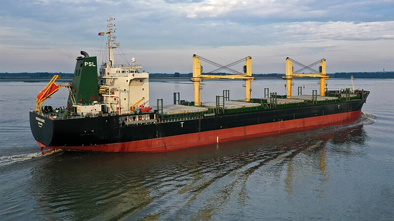Precious Shipping expects more dry bulk volatility as profit plummets ...