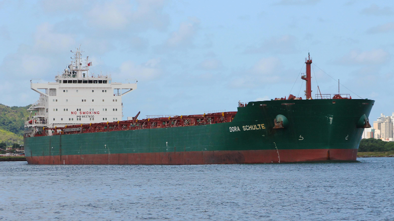 Bulker runs aground in Indonesia :: Lloyd's List