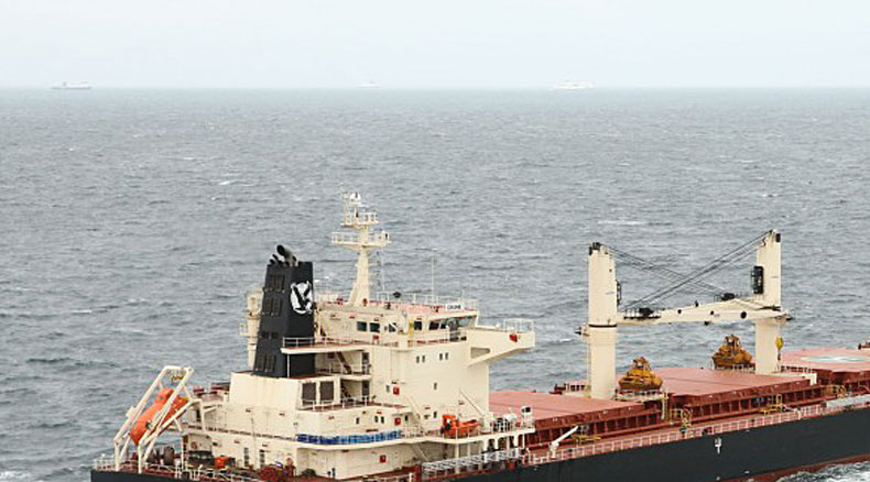 Eagle Bulk adds to ultramax fleet :: Lloyd's List