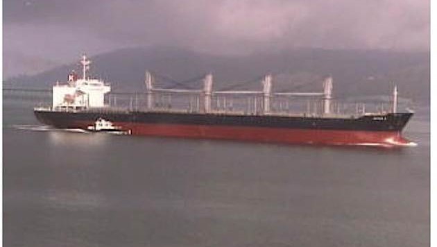 Second merchant ship departs Ukraine using new corridor :: Lloyd's List