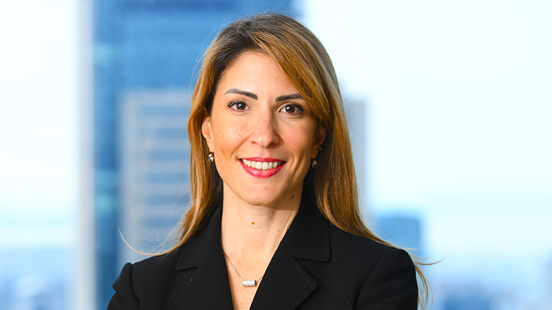 Arkas seeks fleet renewal to comply with IMO carbon intensity rules ...