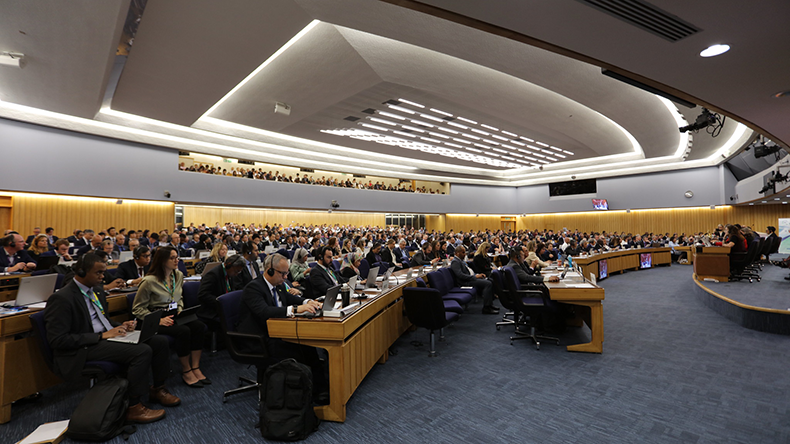 Developing countries pushing back on GHG levy at IMO :: Lloyd's List