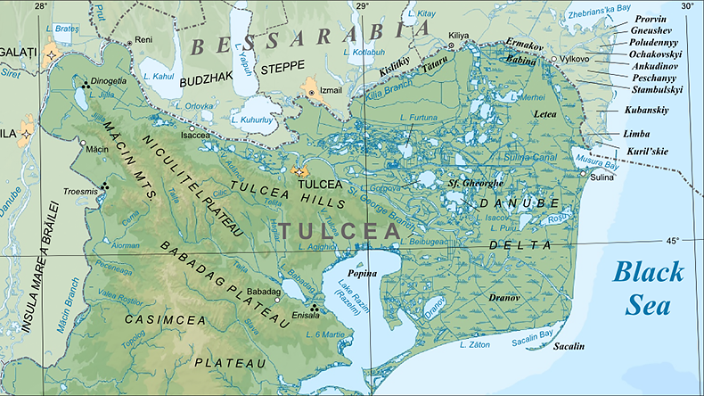 Ukraine’s Danube port turnover nears 30m tonnes this year, but demand ...